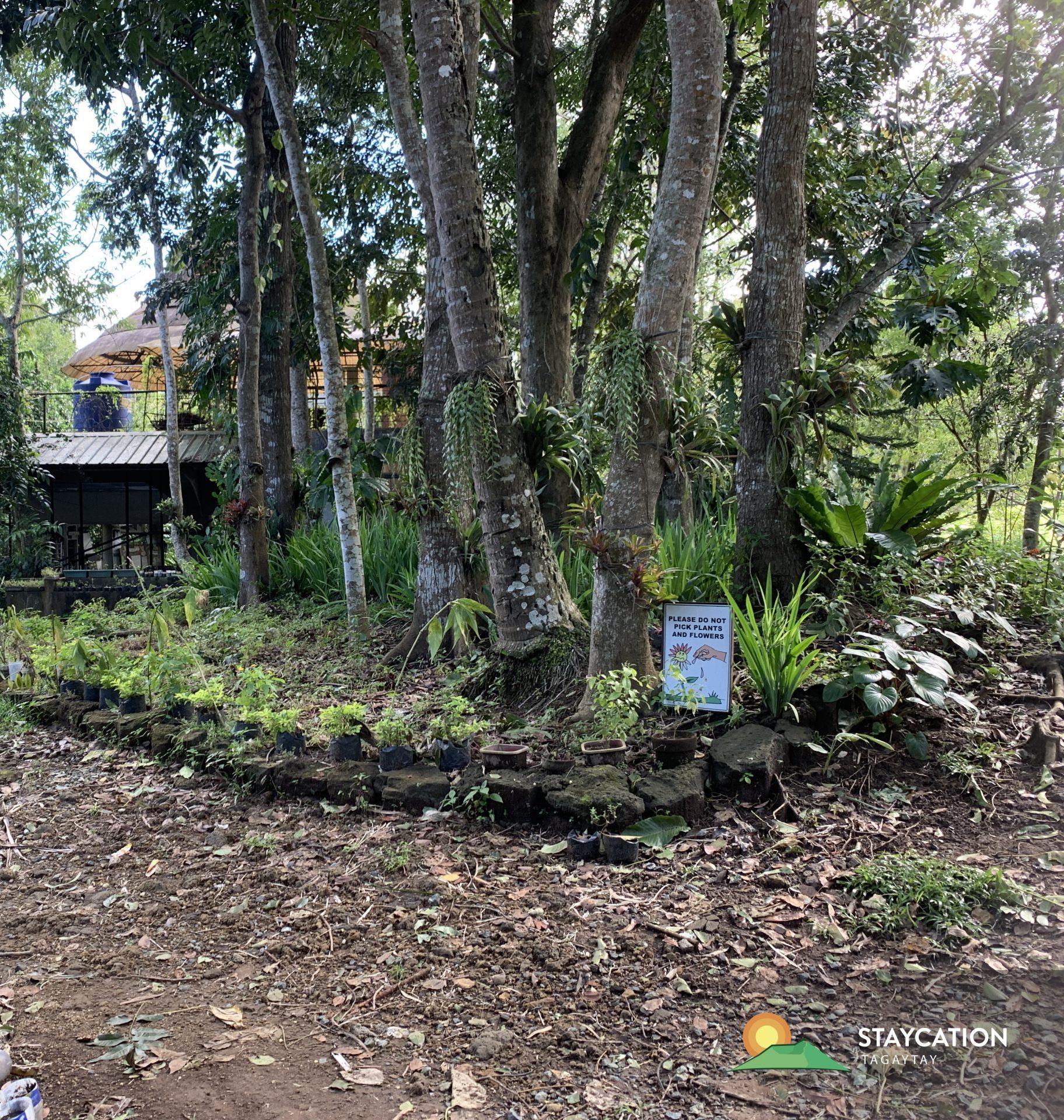 Ilog Maria Bee Farm Tagaytay | Staycation Tagaytay