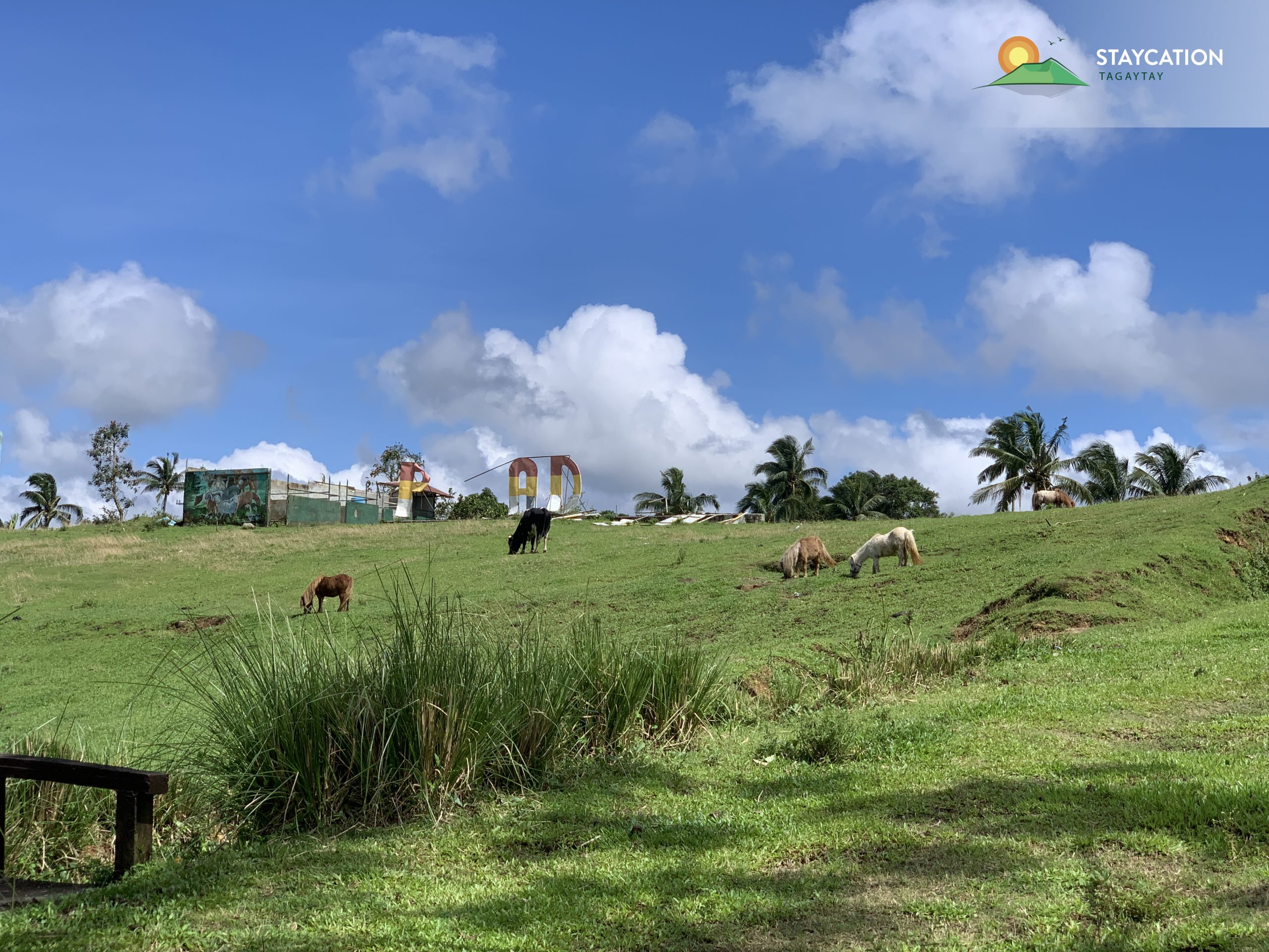 Paradizoo Tagaytay | Staycation Tagaytay